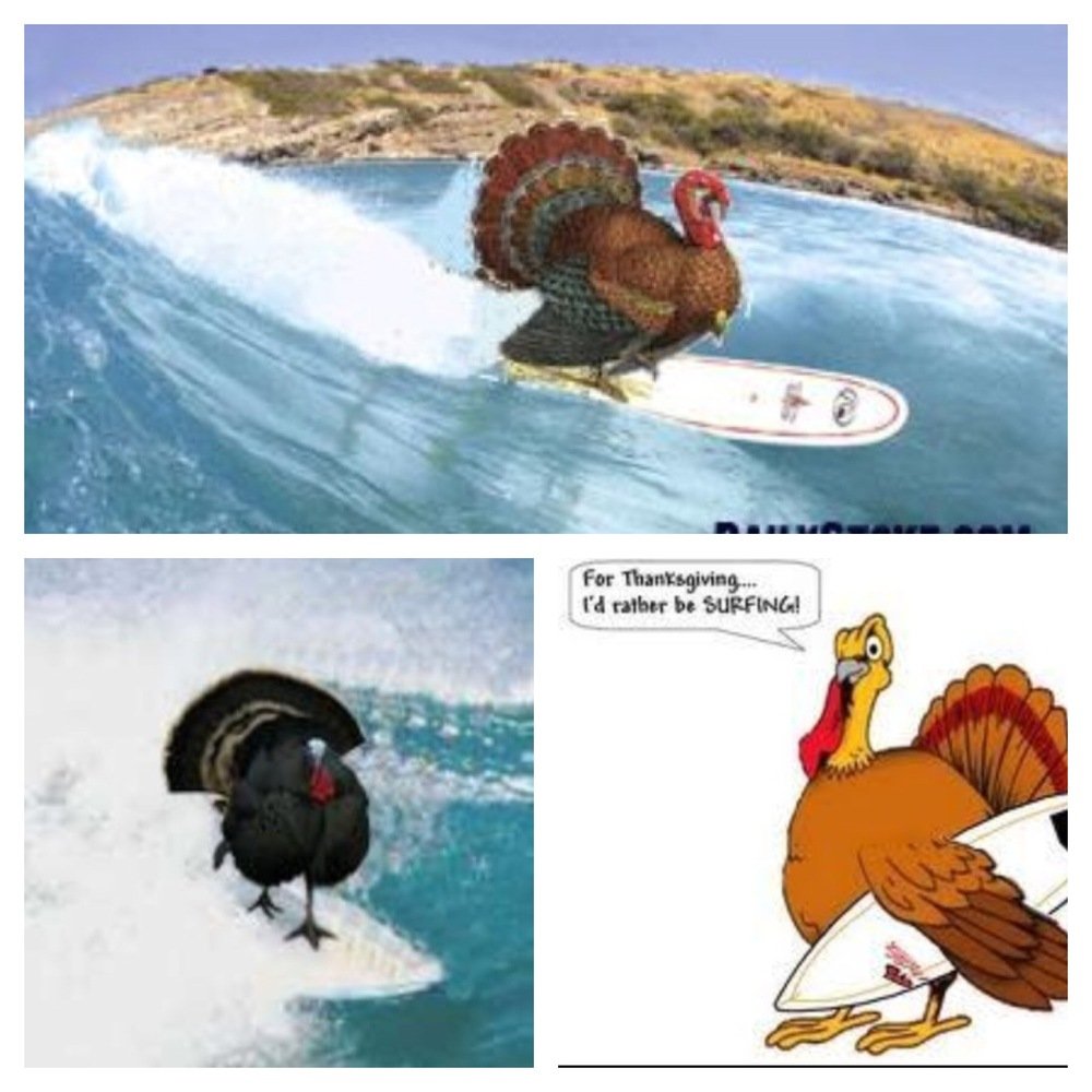 HAPPY ALOHA THANKSGIVING TO YOU & YOURS! STOKED! | Surf News Network