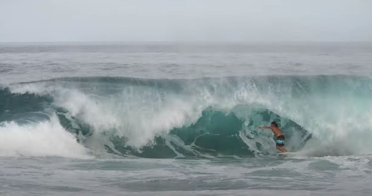 Just released…Mason Ho takes his Lost Hydra fish… | Surf News Network