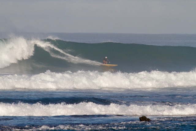 Pat Caldwell | Surf News Network