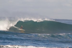 Pat Caldwell | Surf News Network