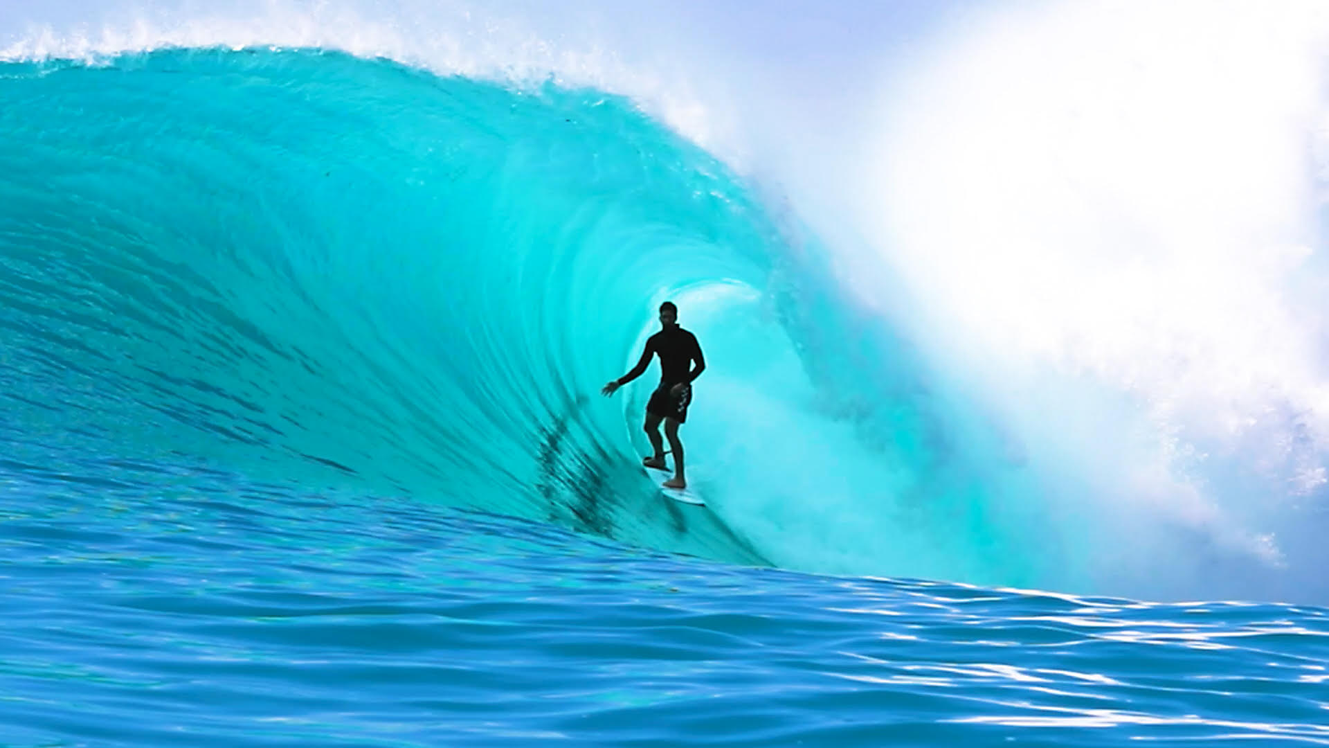 THIS IS A DON’T MISS! | Surf News Network