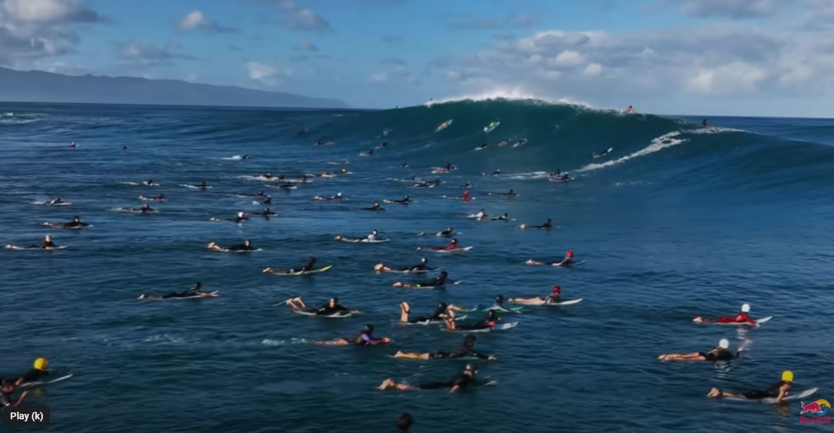 WAKE UP CALL… | Surf News Network