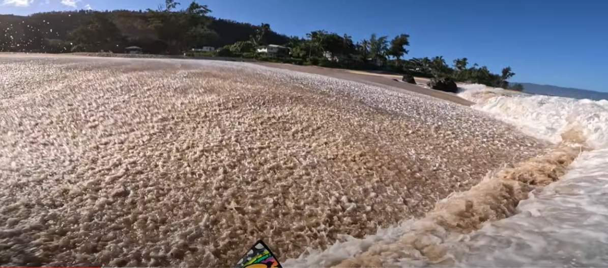 Mason Ho CRAZY POV With NEW GOPRO13 | Surf News Network