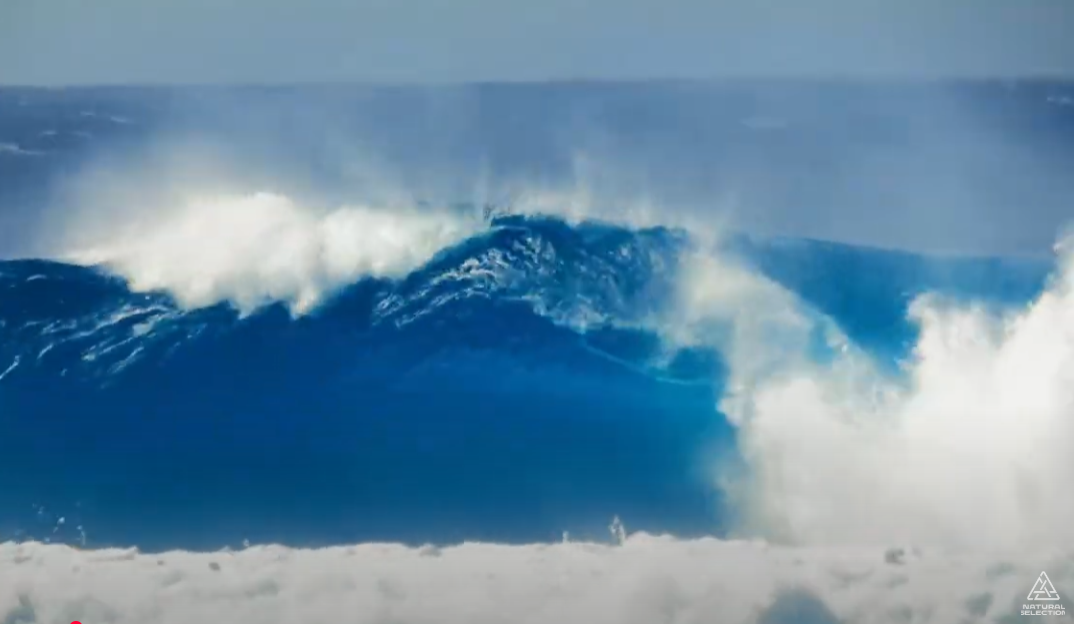 Natural Selection Surf: Day 1 Sessions – Heavy Waves, Dream Barrels ...