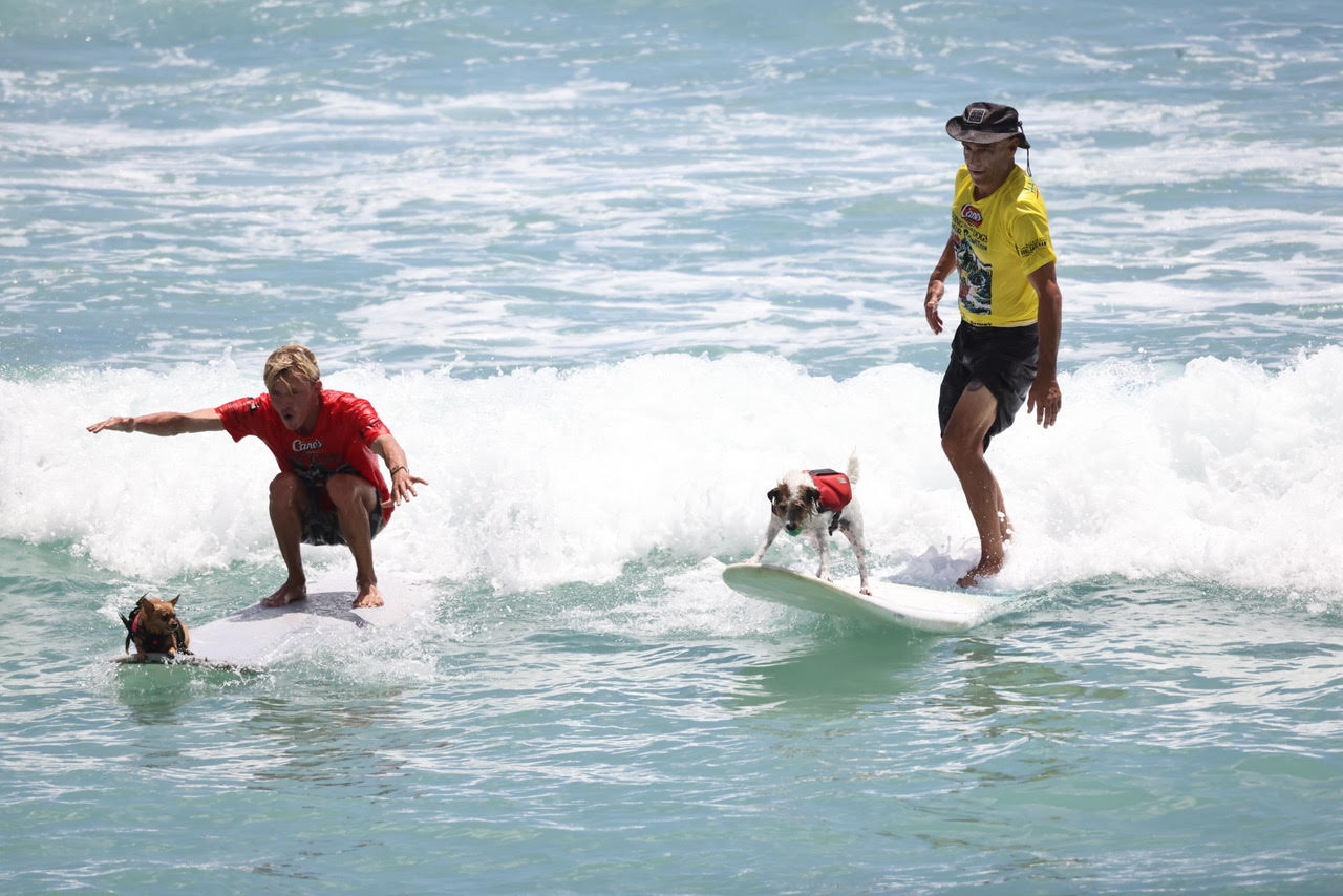 Final Day of the 2025 Duke Kahanamoku Oceanfest! | Surf News Network