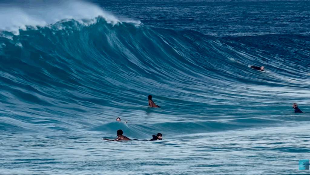 ‘Our Favorite Gurgle Bar” Nate Florence | Surf News Network